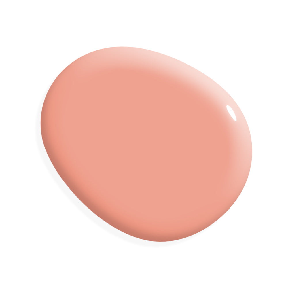 Miracle Paint - Coral (32 oz) – Amy Howard At Home