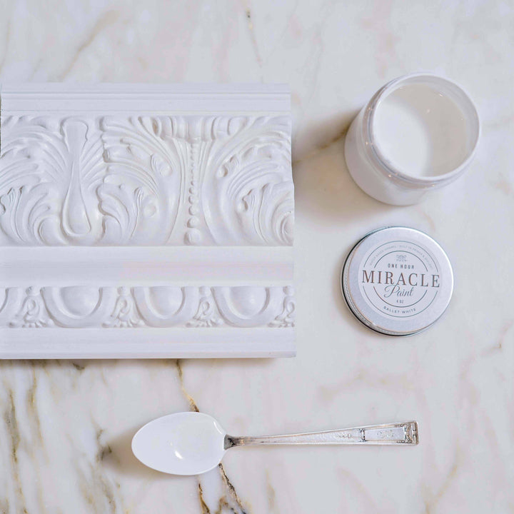 Miracle Paint - Sample Size – Amy Howard At Home
