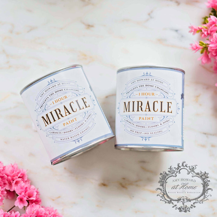 Miracle Paint – Amy Howard At Home
