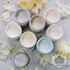 Miracle Paint - Sample Size – Amy Howard At Home